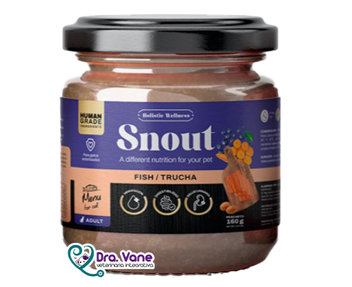 SNOUT HOLISTIC WELLNESS TRUCHA ADULT CAT - Dra. Vane Vet